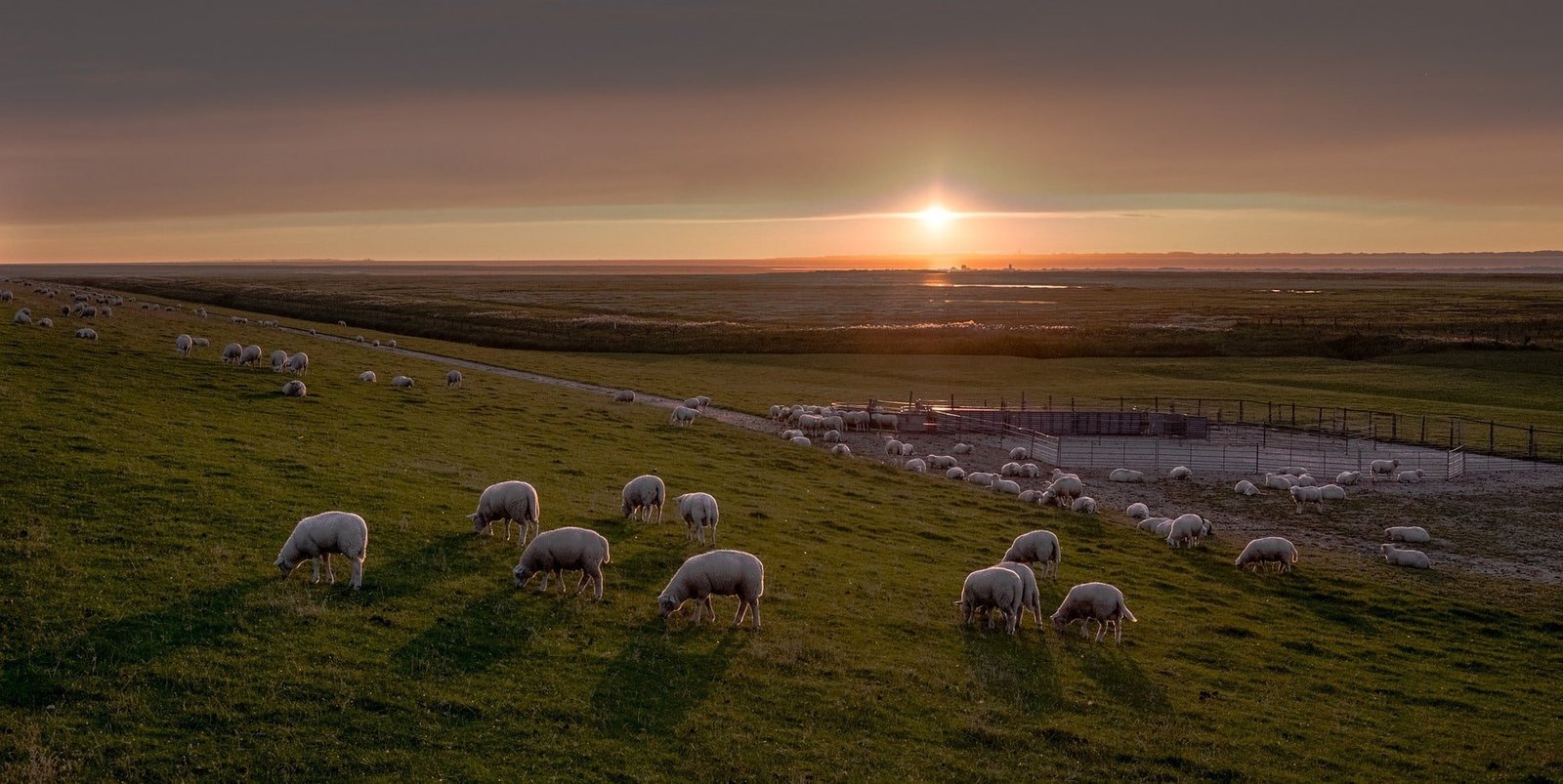 Op vakantie naar Friesland • Kennisdomein